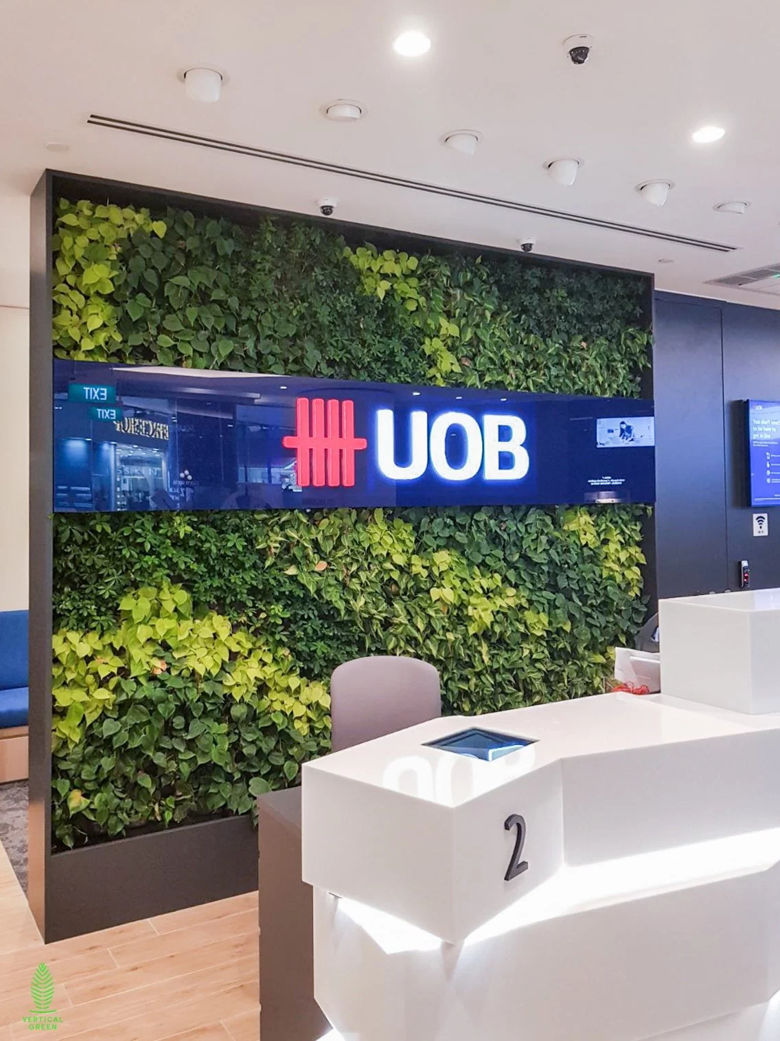 Green Wall Offices and Offices with Living Walls | Vertical Green