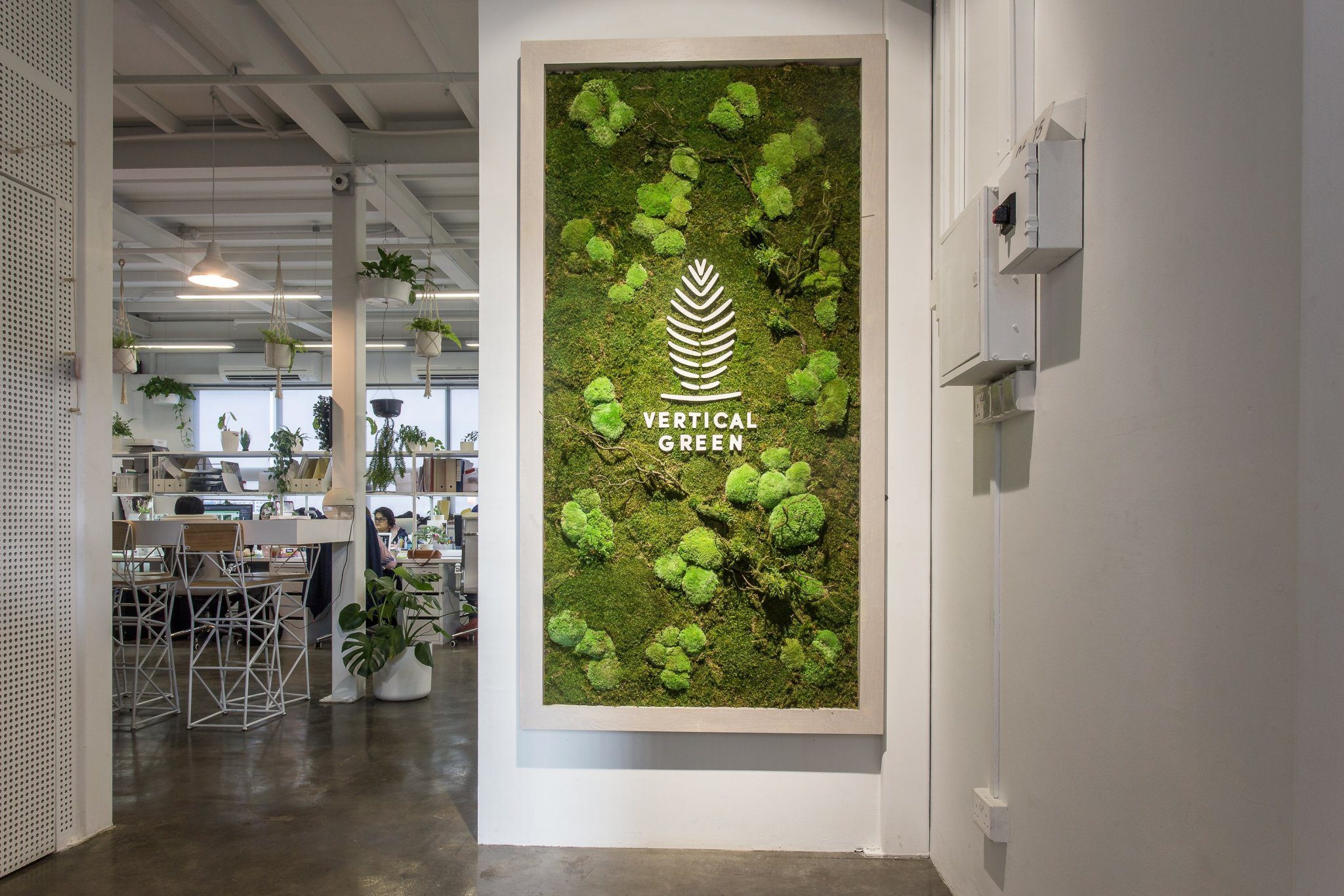 Premium Vertical Gardens | Vertical Landscape | Vertical Green